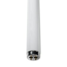 120v 7w Bulb