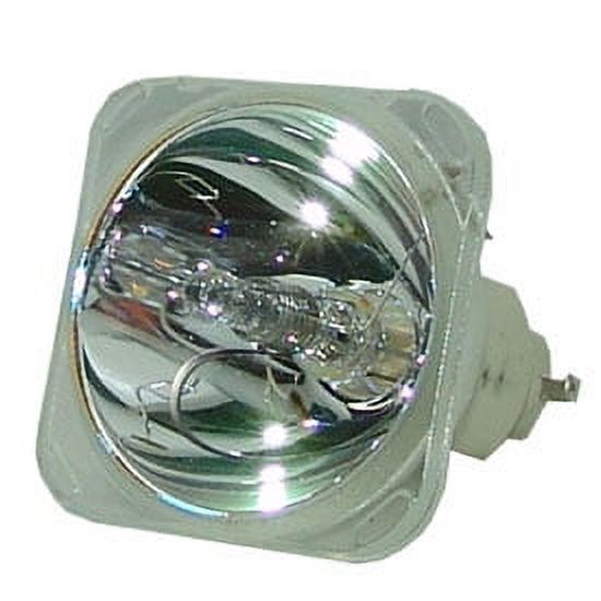 Replacement for LIGHT BULB / LAMP 50292-BOO Replacement Projector TV ...