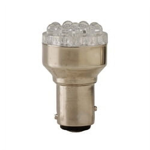 1157 Light Bulbs