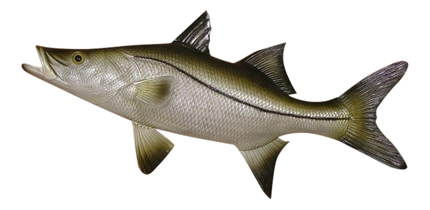Replica Snook Ocean Coastal Fly Fishing Wall Decor 28 inch - Walmart.com