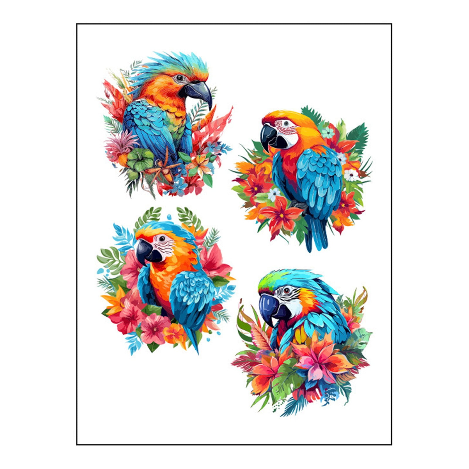 Replio 4 Parrots Colored Frosted Sticker N1883 Border Removable Living Room Door And Window ...