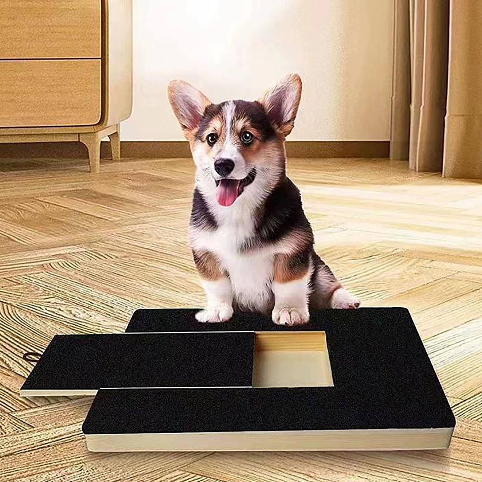 Replio Dogs Scratch Square Pad Dog Nail File Toy With Box Nail Grinder ...