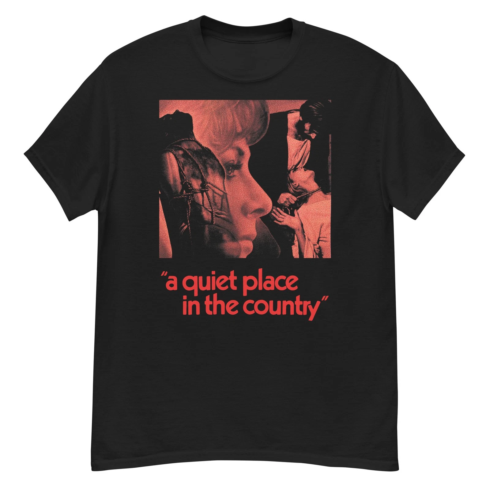 Reprint Rare A Quiet Place in the Country cult giallo film fan art t ...