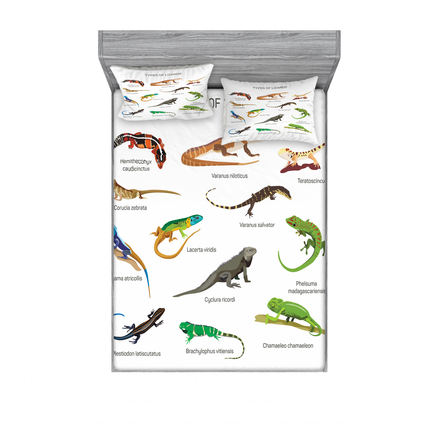 Reptile Bedding Set with Sheet & Covers, Lizard Family Design on Plain ...