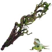 Bearded Dragon Climbing Accessories