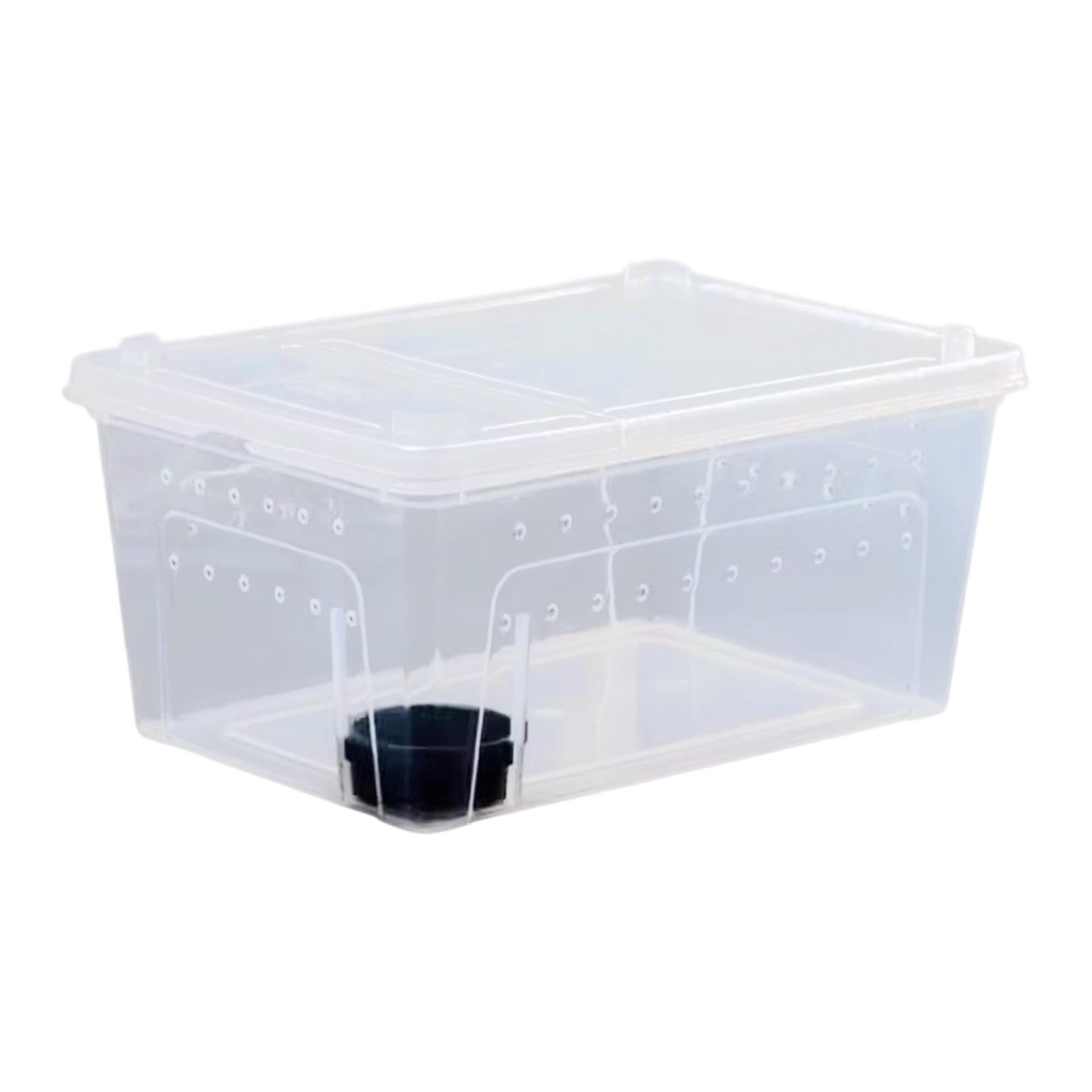 Reptile Breeding Case Feeding Bowl Transparent Terrarium ABS ...