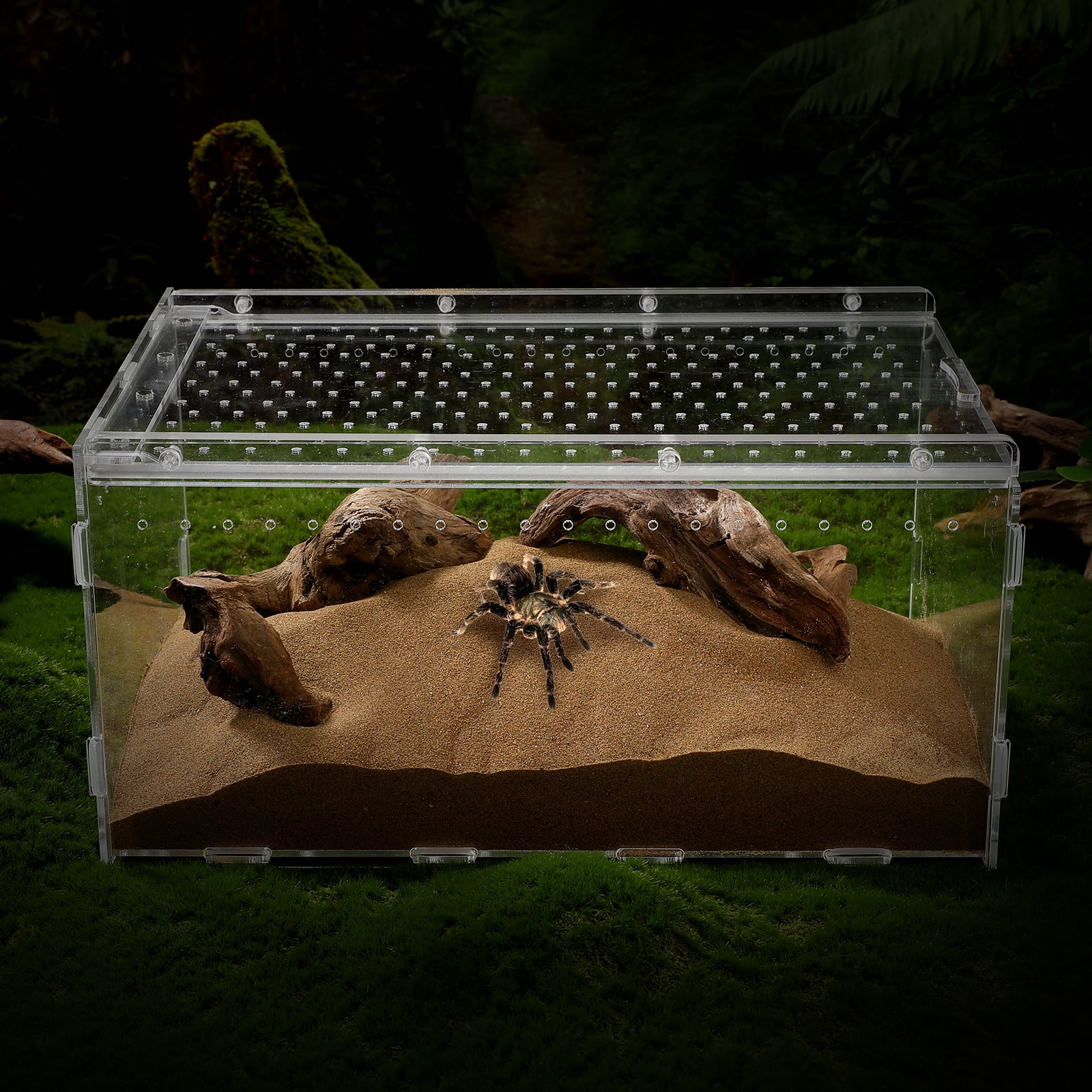 Reptile Breeding Terrarium Acrylic Box Reptile Feeding Box Gecko Lizard ...
