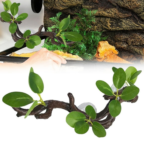 Bearded Dragon Climbing Tree