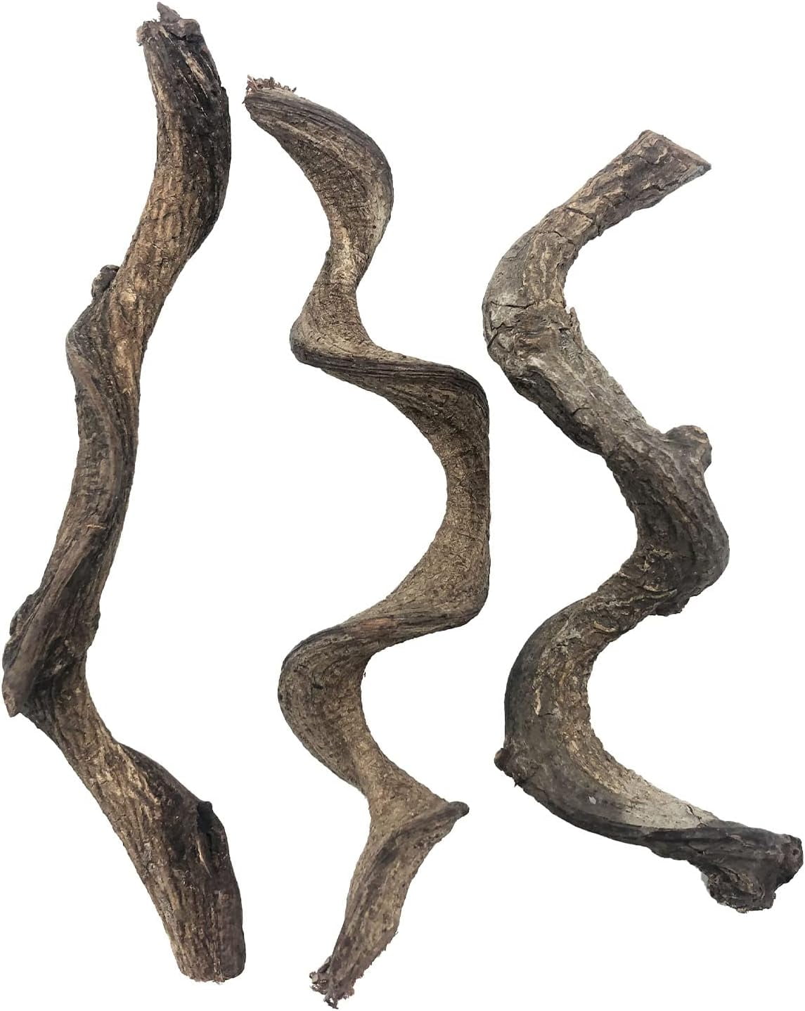 Kathson Reptile Decor Wooden Branches, 12.99 Inches, Climbing Vines for ...