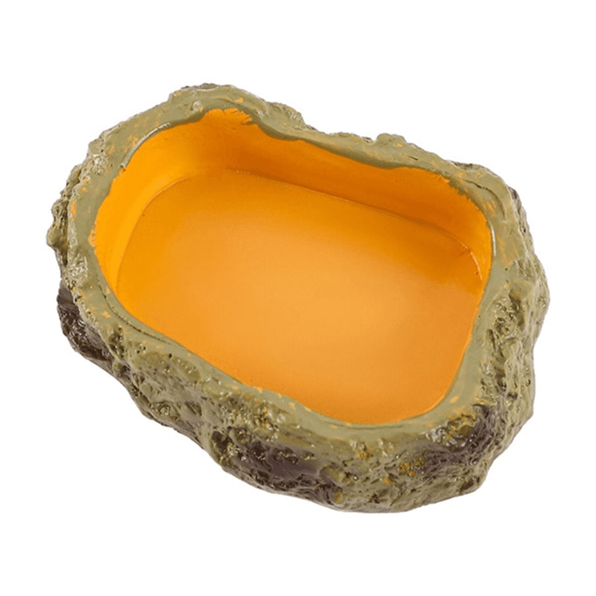 Reptile Feeding Bowls Terrarium Plate Feeder Amphibian Bowl for Frog ...