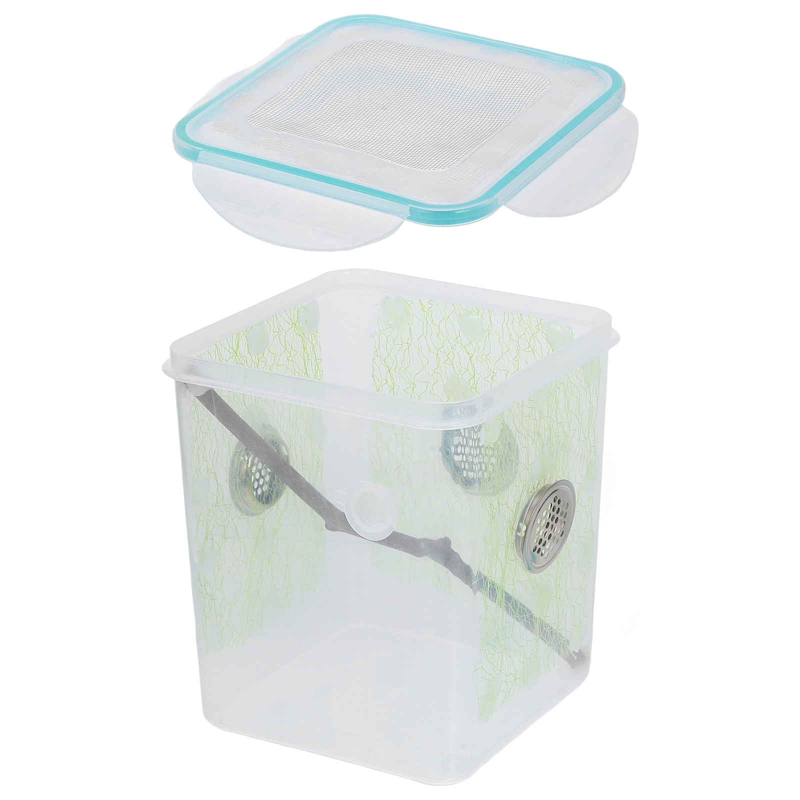 Reptile Feeding Box Insect Feeding Box Portable Habitat Terrarium ...