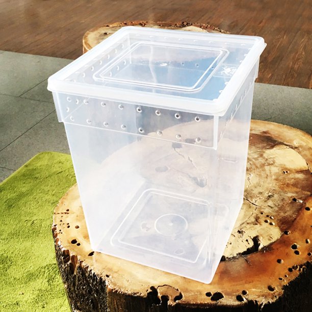 Reptile Feeding Box Lizard Cage, Transparent Plastic Tank With Full ...