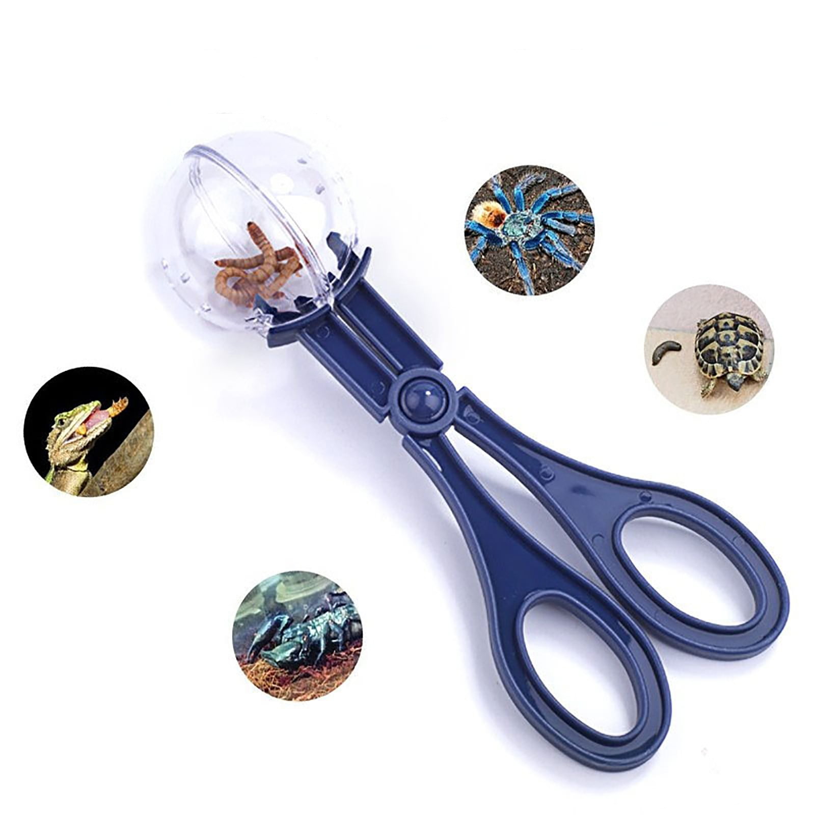 Reptile Feeding Forceps Plastic Tongs Insect Collector Scissors ...