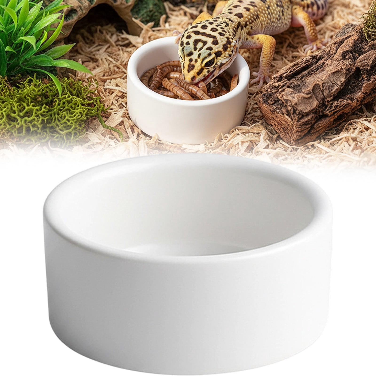 Reptile Food Dish Bowl, Worm Water Dish Small Lizard Gecko Ceramic Pet ...