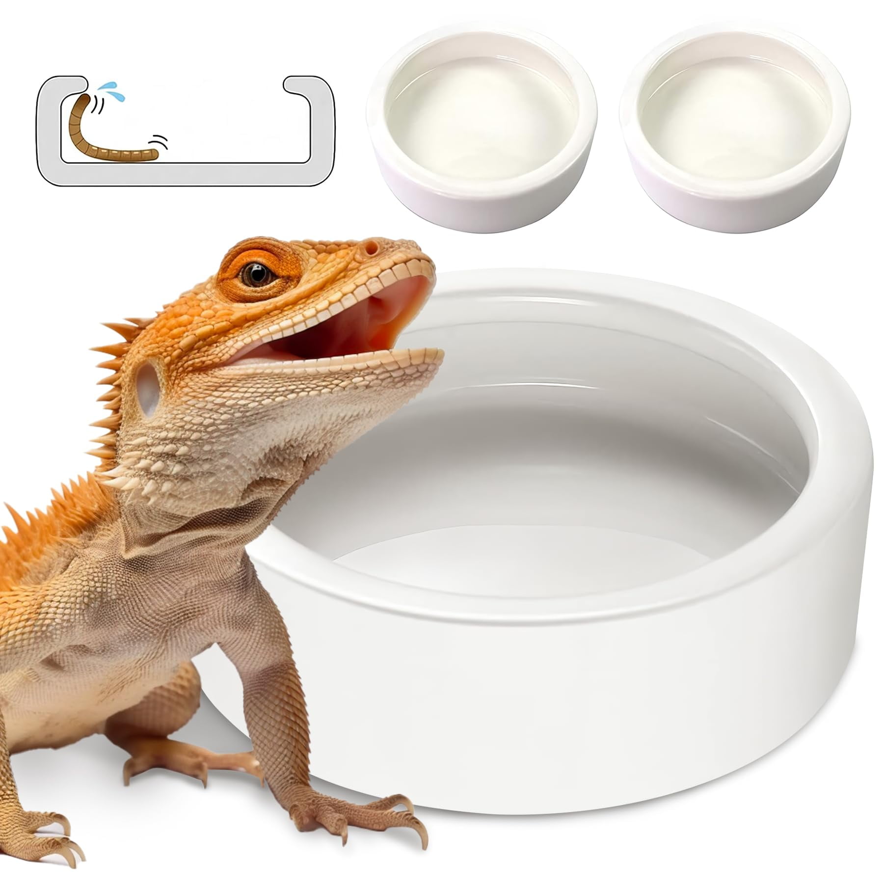 Reptile Food Dish Bowl, Worm Water SMRDish Small Lizard Gecko Ceramic ...