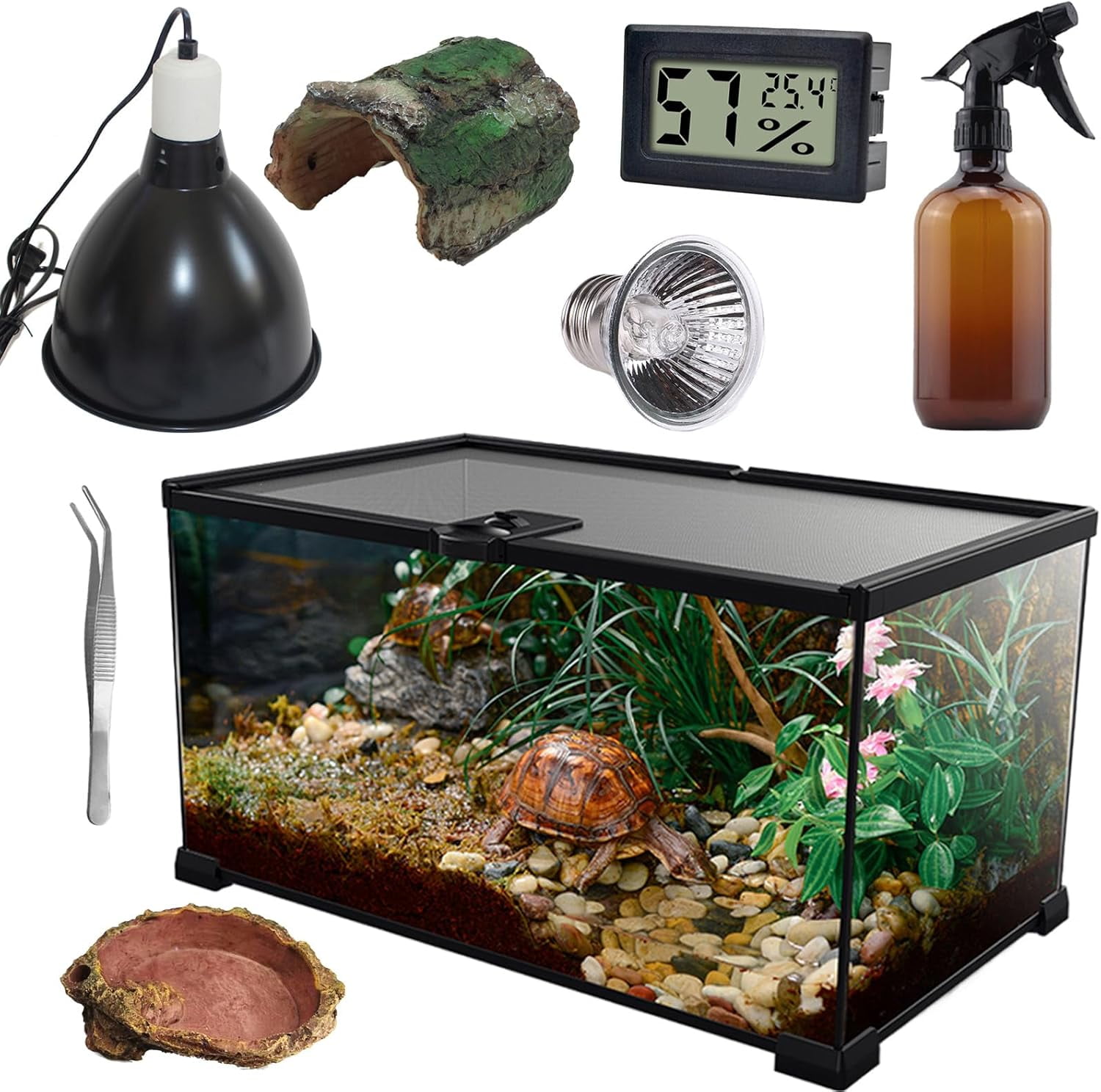 Reptile Glass Terrarium Kit(8 Pieces) 12 * 8 * 6 in, Amphibian Tank ...