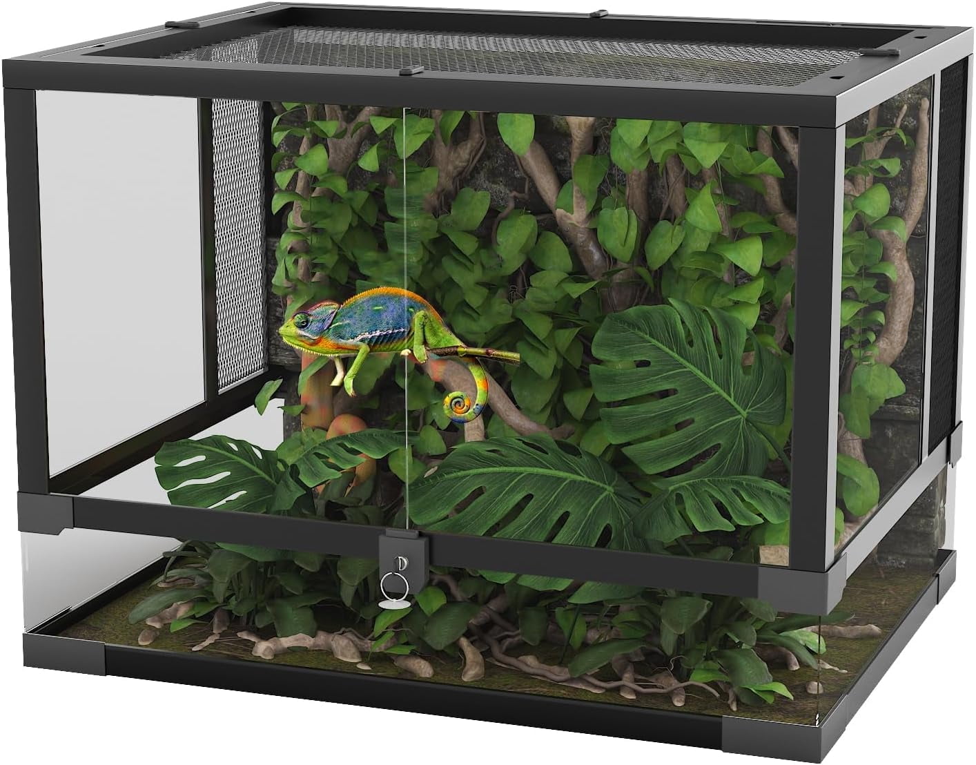 Reptile Glass Terrarium with Top & Side Screen Ventilation Reptile ...