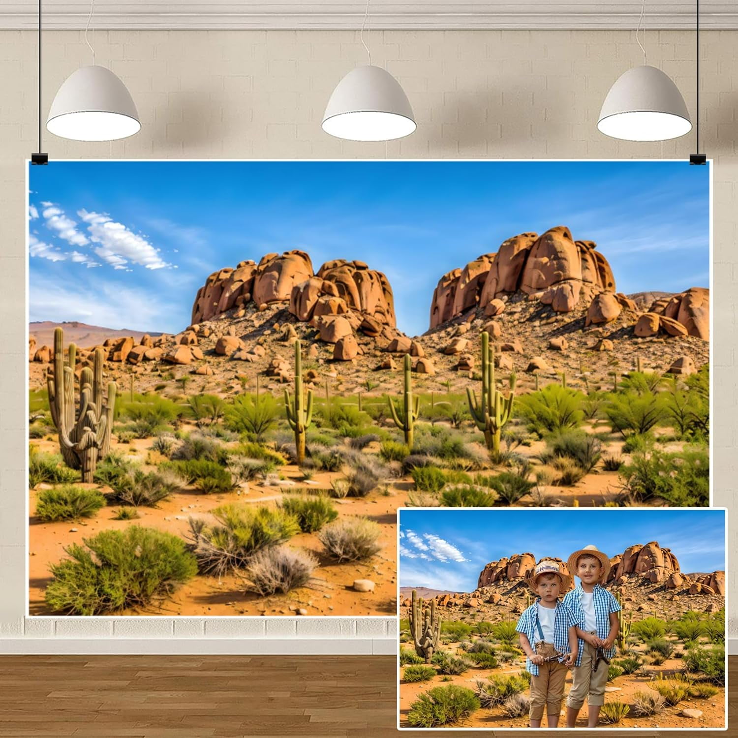 Reptile Habitat Background Desert Plant Backdrop Arid Barren Cactus ...