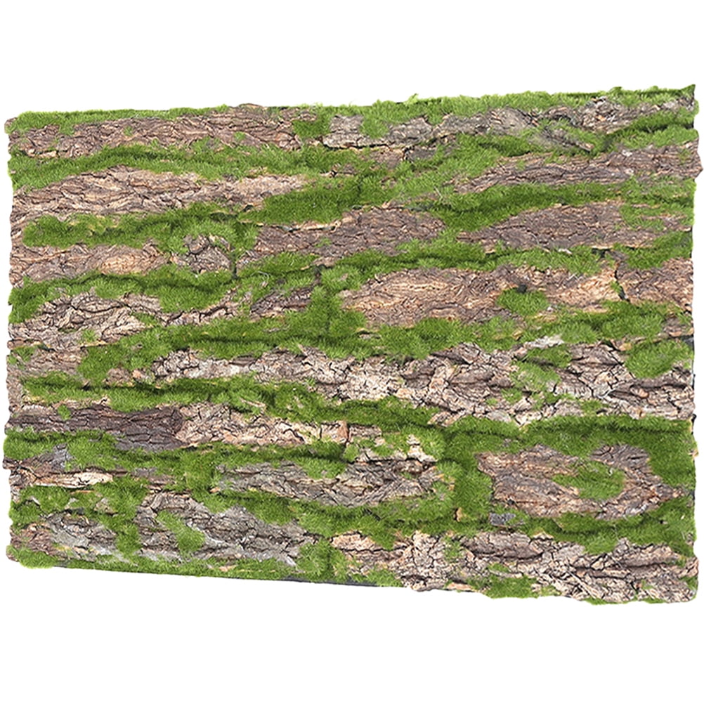 Reptile Habitat Bark Backdrop Bark Reptile Tree Bark Reptiles Climbing ...