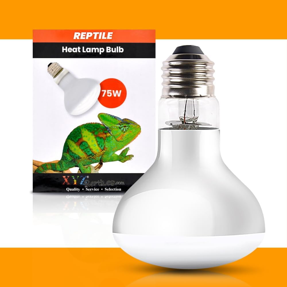 Reptile Heat Lamp – 75 W Heat Lamp Bulb for Reptiles, Amphibians ...