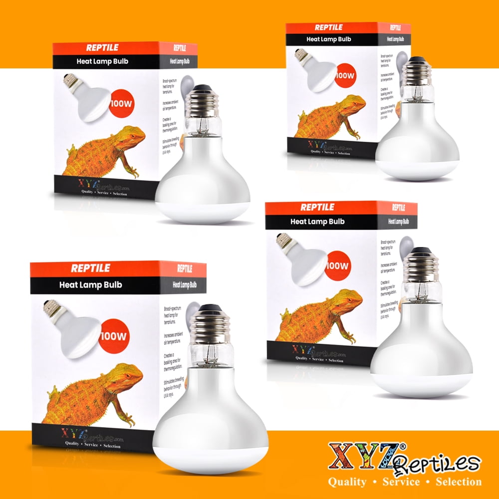 XYZReptiles Reptile Heat Lamp Bulb 100 Watt for Reptiles Tortoises ...