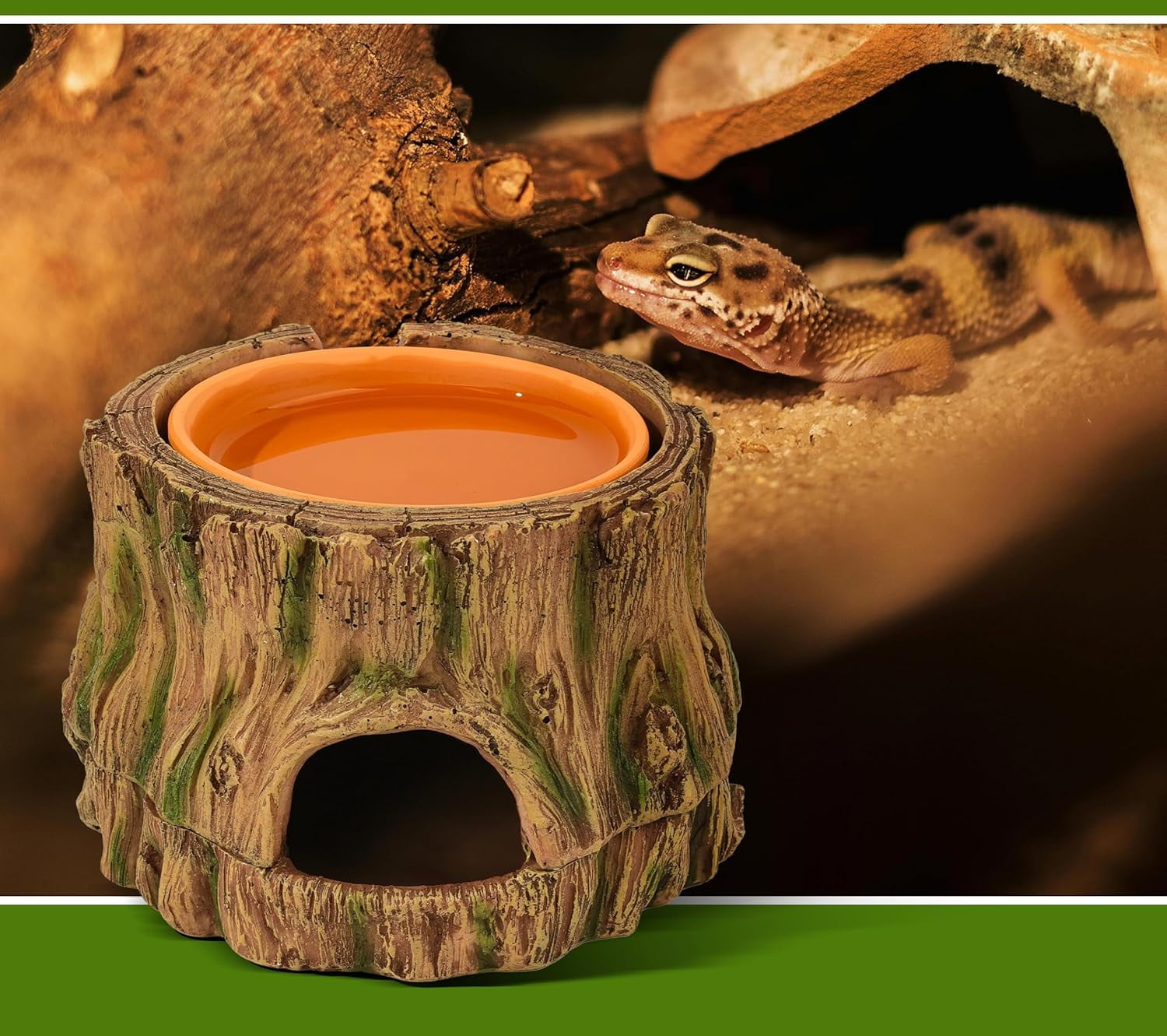 Reptile Hide Cave with Detachable Base and Clay Water Dish, Terrarium ...