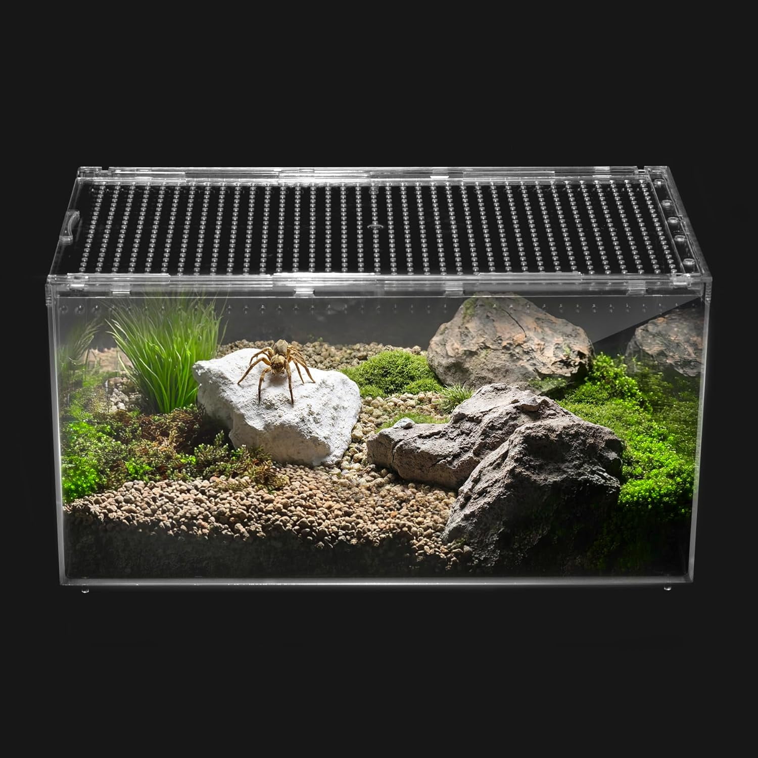 Reptile PC Terrarium,Spider Tank Starter Kit,Leopard Gecko Container ...