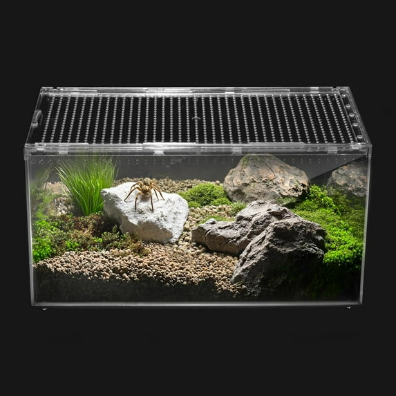 Reptile PC Terrarium,Spider Tank Starter Kit,Leopard Gecko Container ...