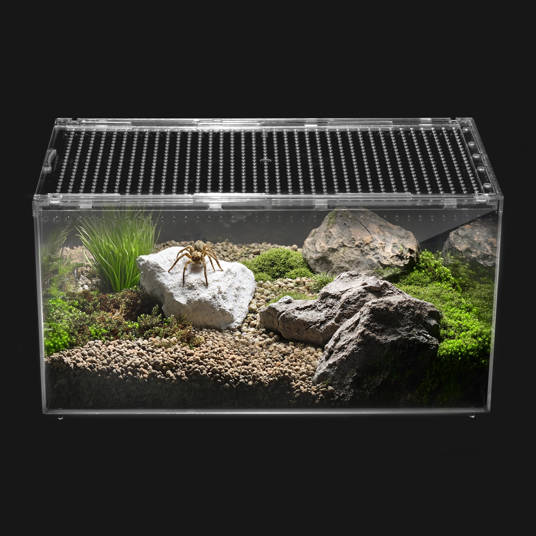 Reptile PC Terrarium,Tarantula Enclosure,Spider Tank Starter Kit ...