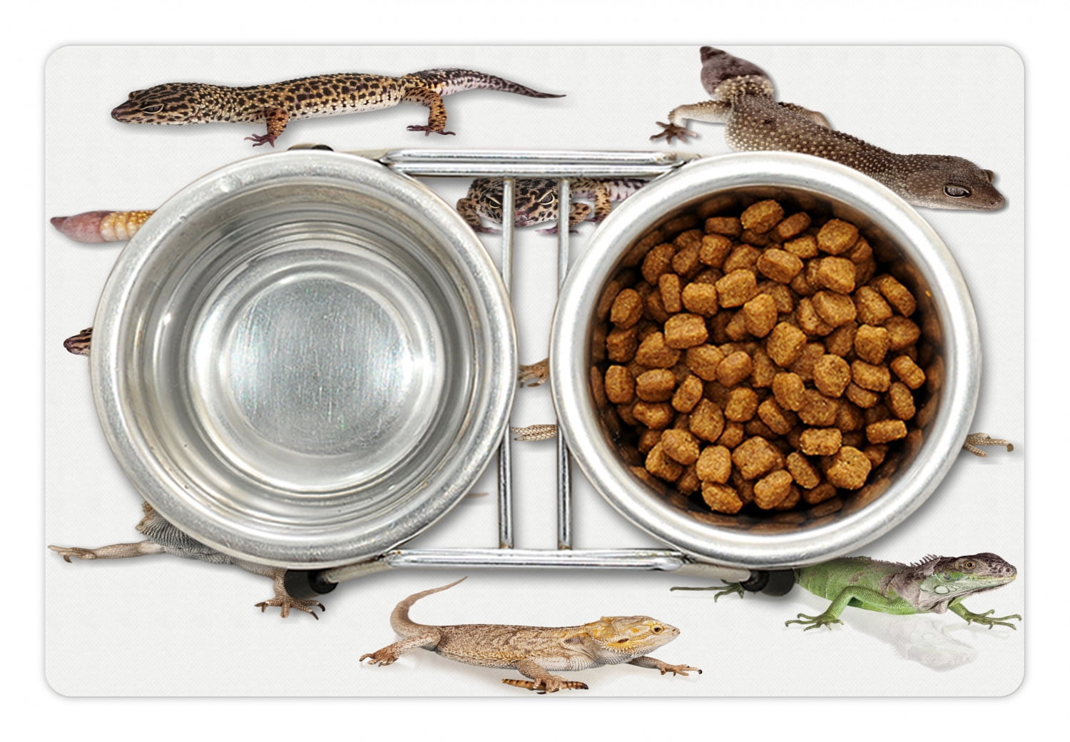 Reptile Pet Mat for Food and Water, Colorful Staring Leopard Gecko ...
