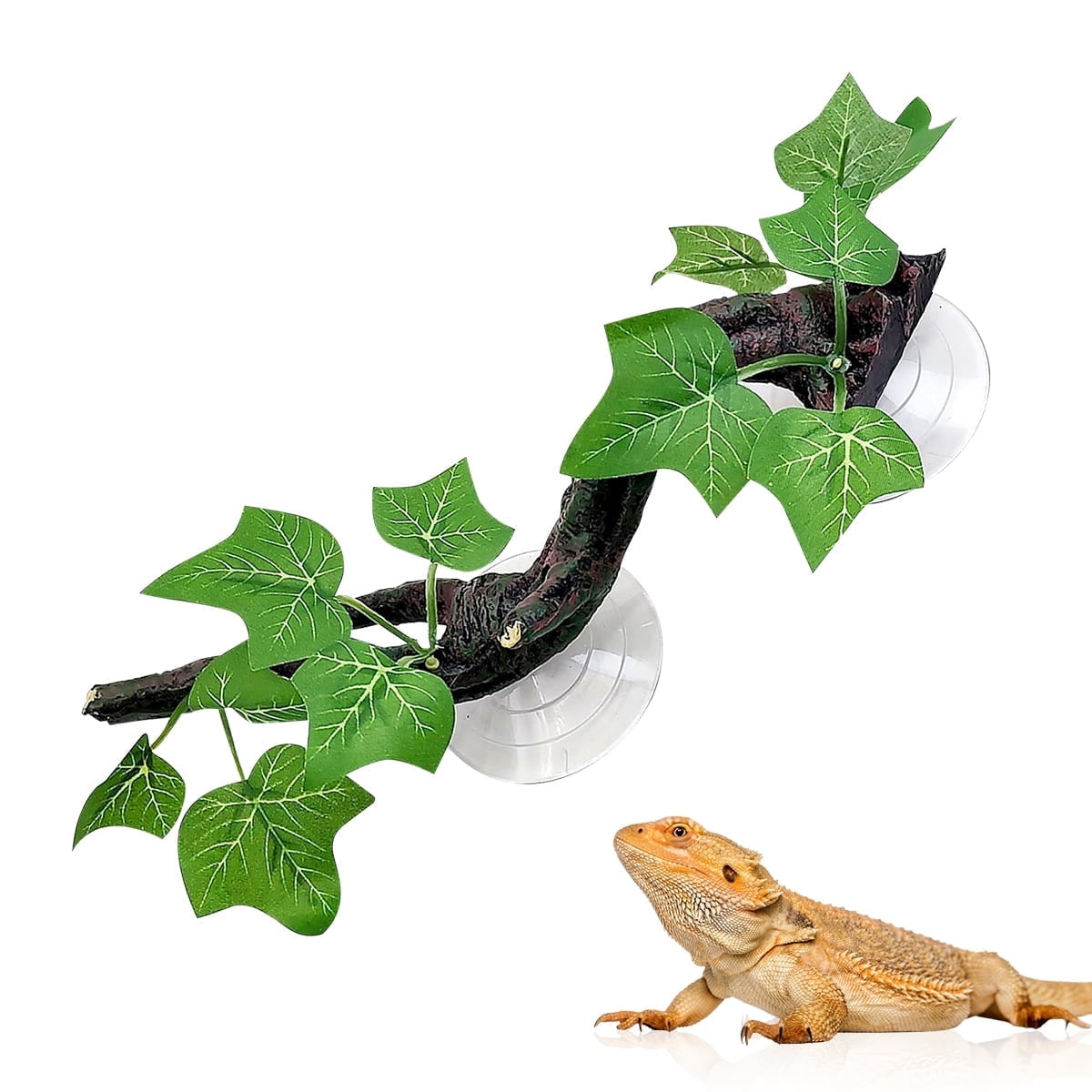 Reptile Plants, Habitat with a Suction Cup Reptile Corner Branch for ...