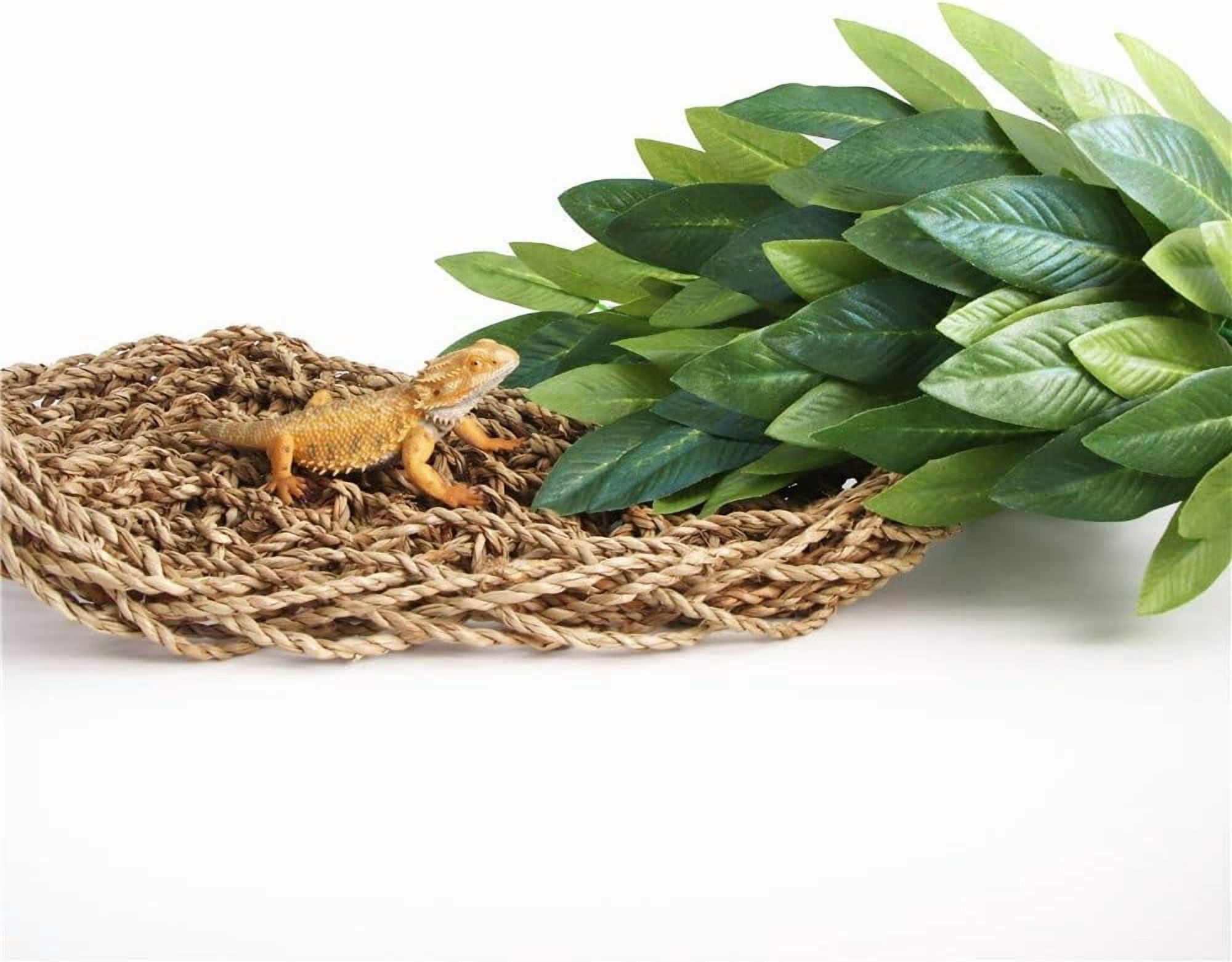 Reptile Plants Hanging Silk Terrarium Plant with Suction Cup for ...