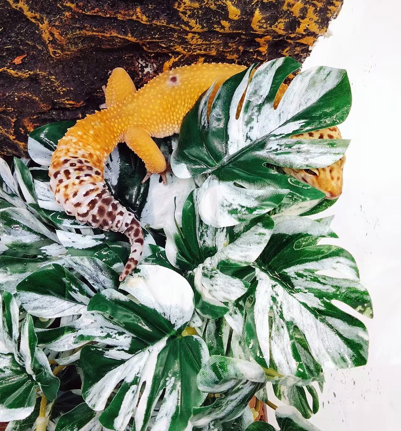 Reptile Plants for Terrarium, Amphibian Habitat Decor Artificial ...