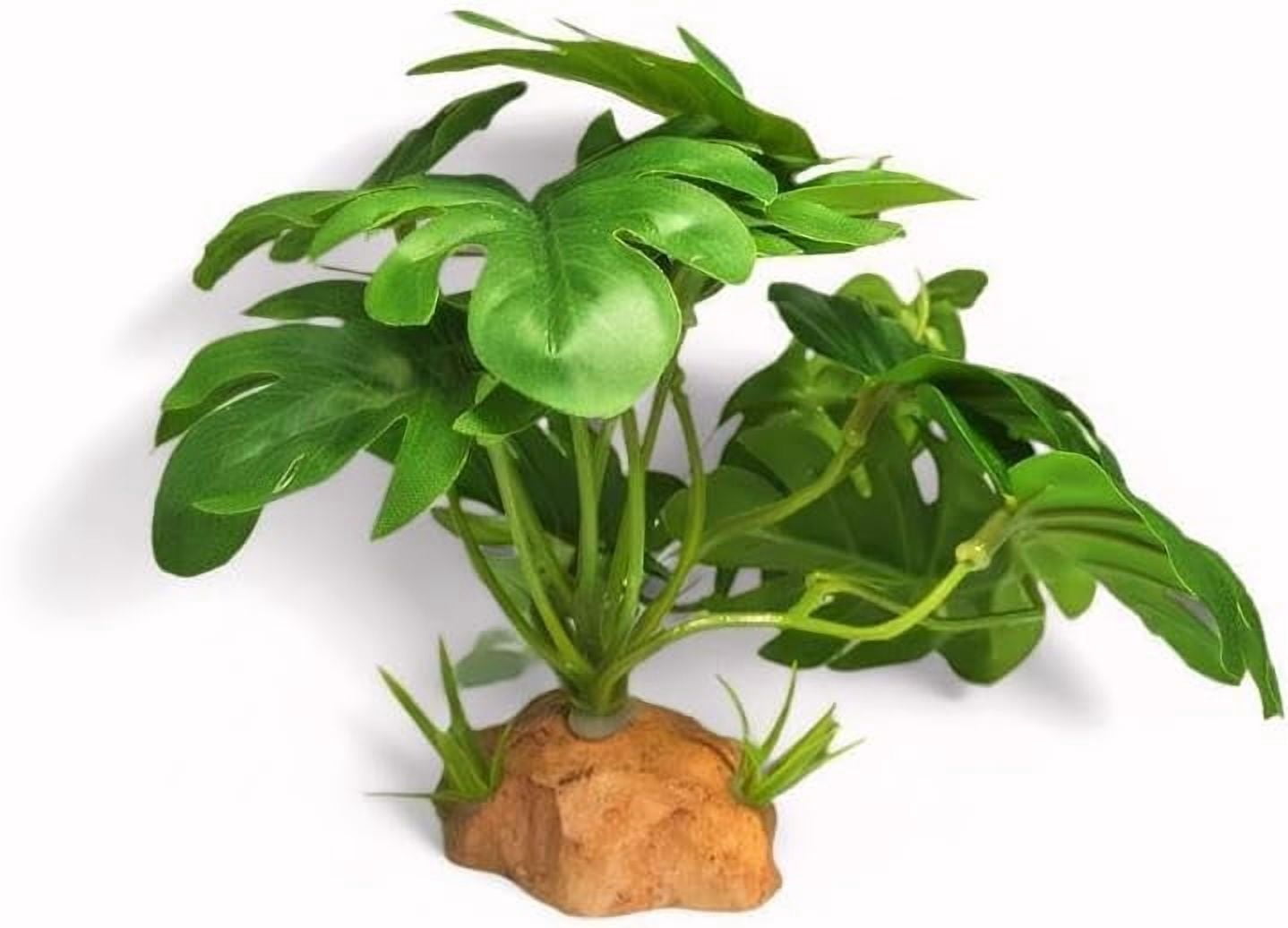 Reptile Plants for Terrarium, Amphibian Habitat Decor with Artificial ...