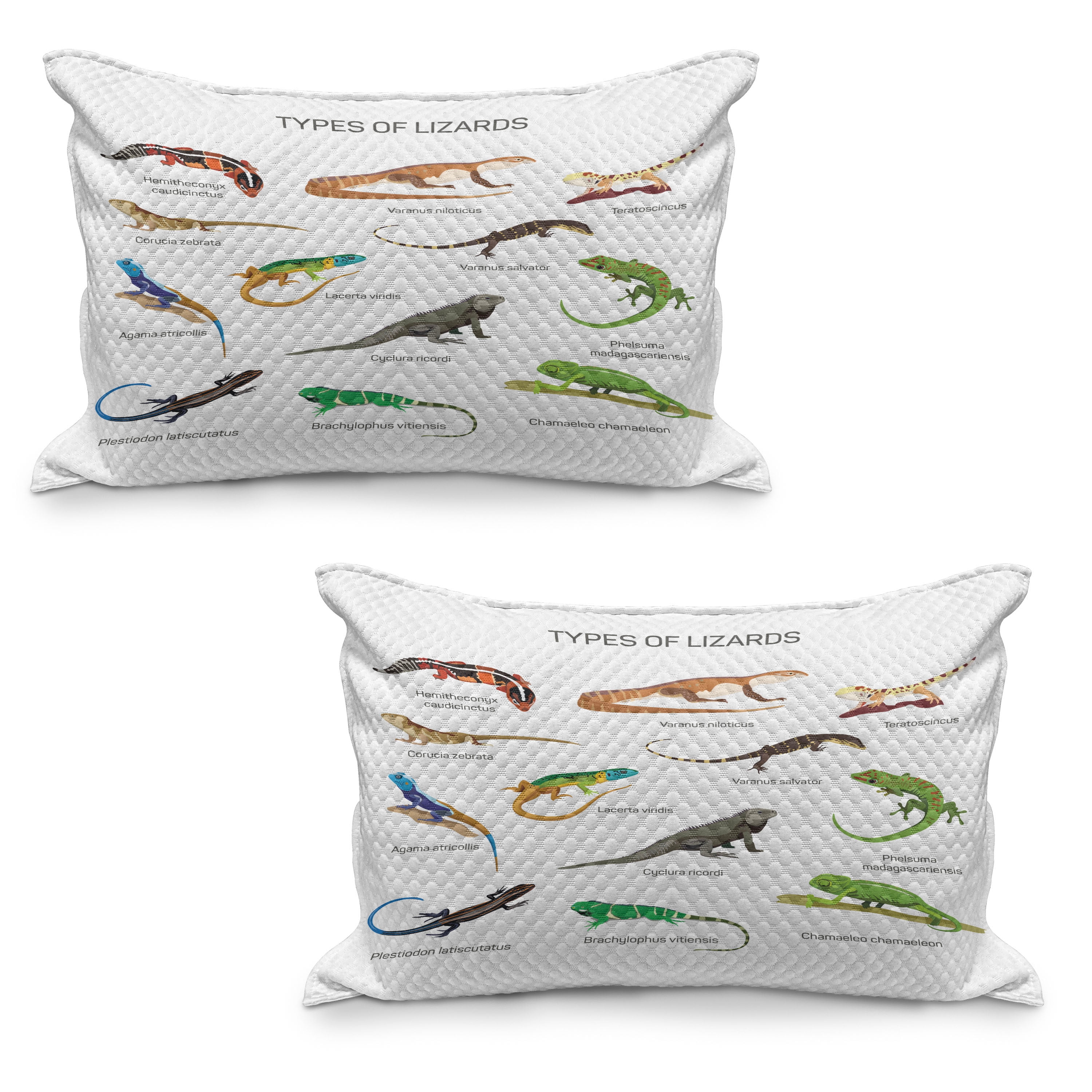Reptile Quilted Pillowcover Set of 2, Lizard Family Design on Plain ...