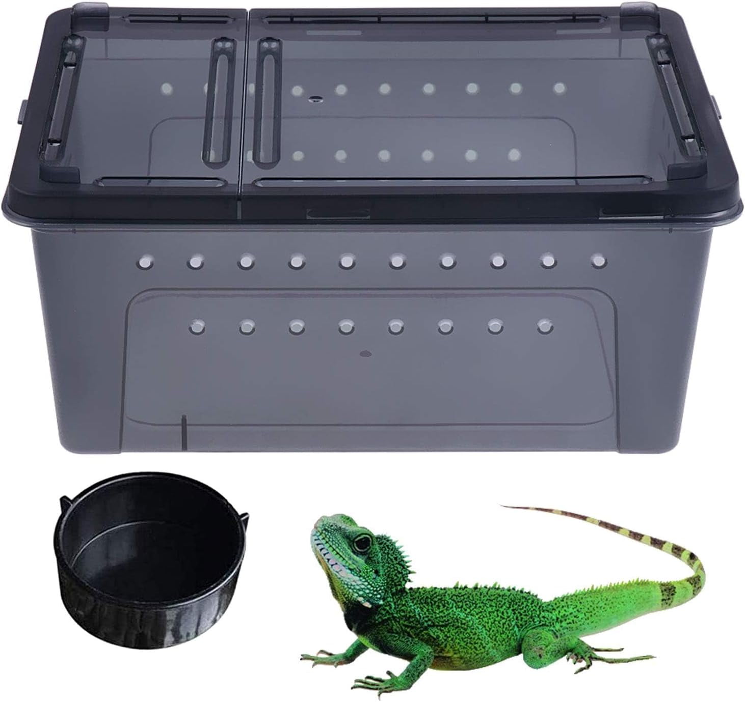 Reptile Snake Feeding Box Breeding Hatching Container Lizard Tarantula ...
