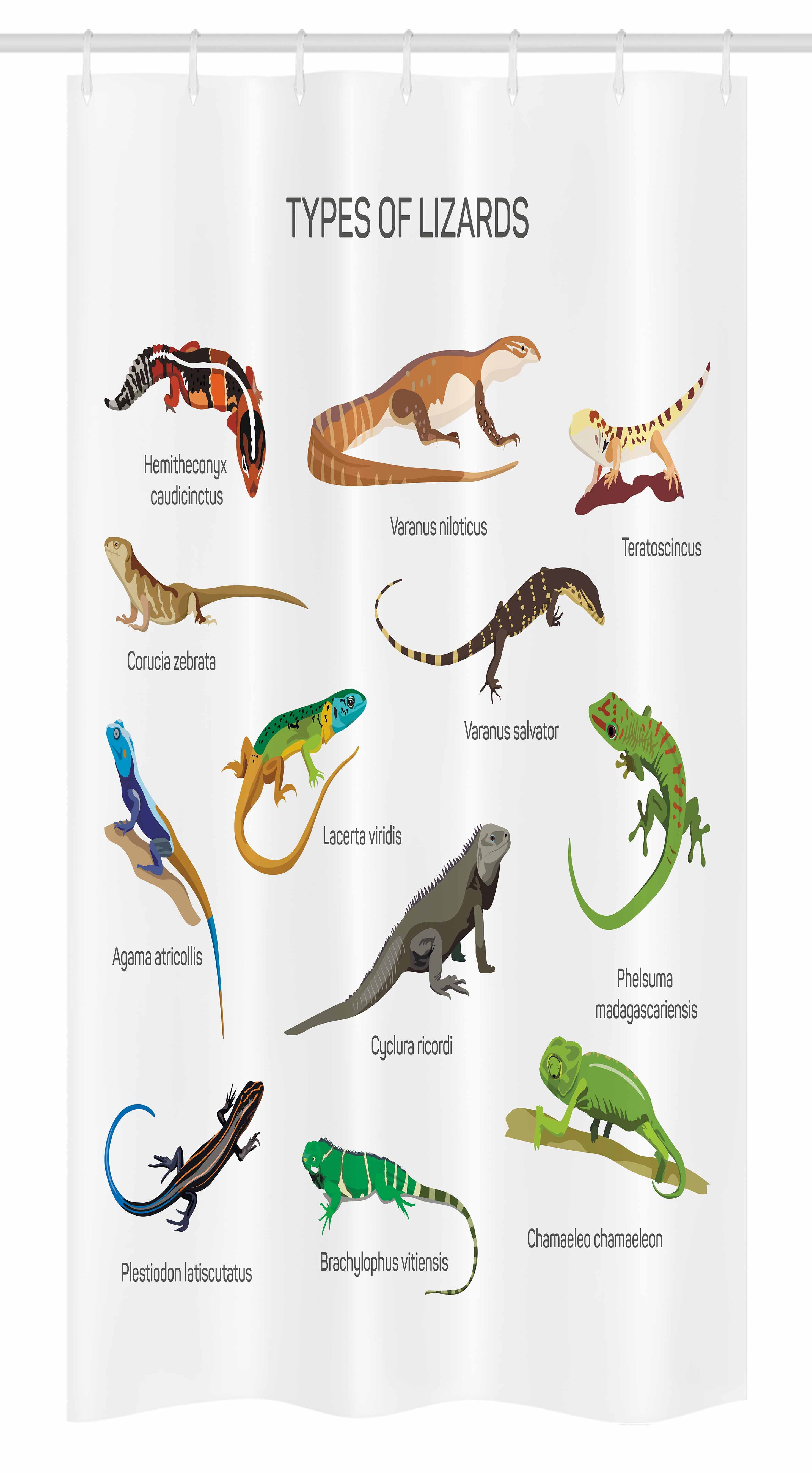 Reptile Stall Shower Curtain, Lizard Family Design on Plain Background ...