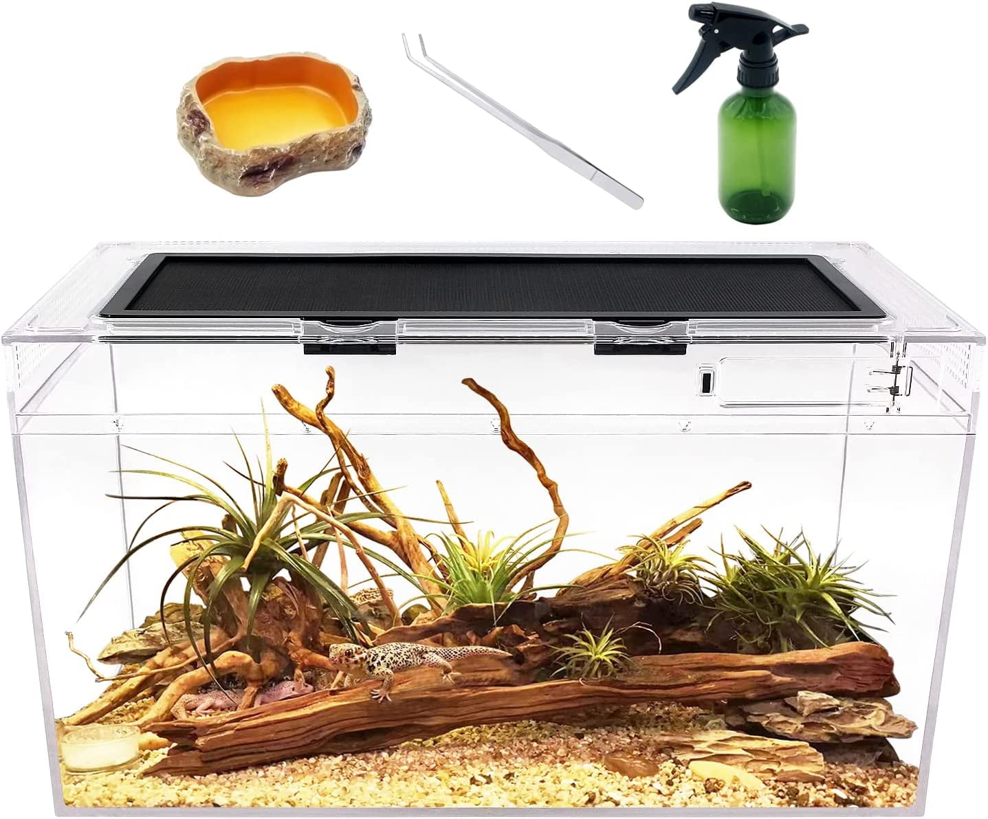 Reptile Terrarium,10 Gallon Reptile Tank 20" x 10"x 11",for Insect，Fish ...