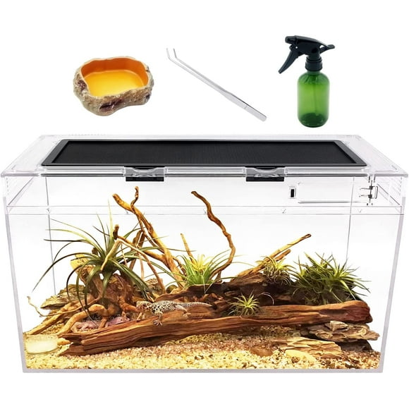 Iguana Tank
