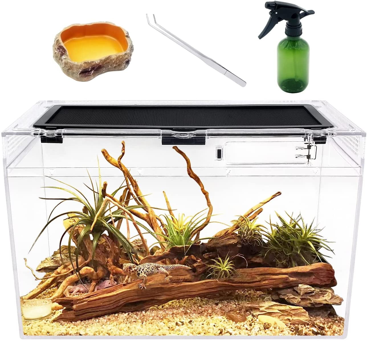 Reptile Terrarium,16" x 8"x 10" Reptile Tank with Full View Visually ...