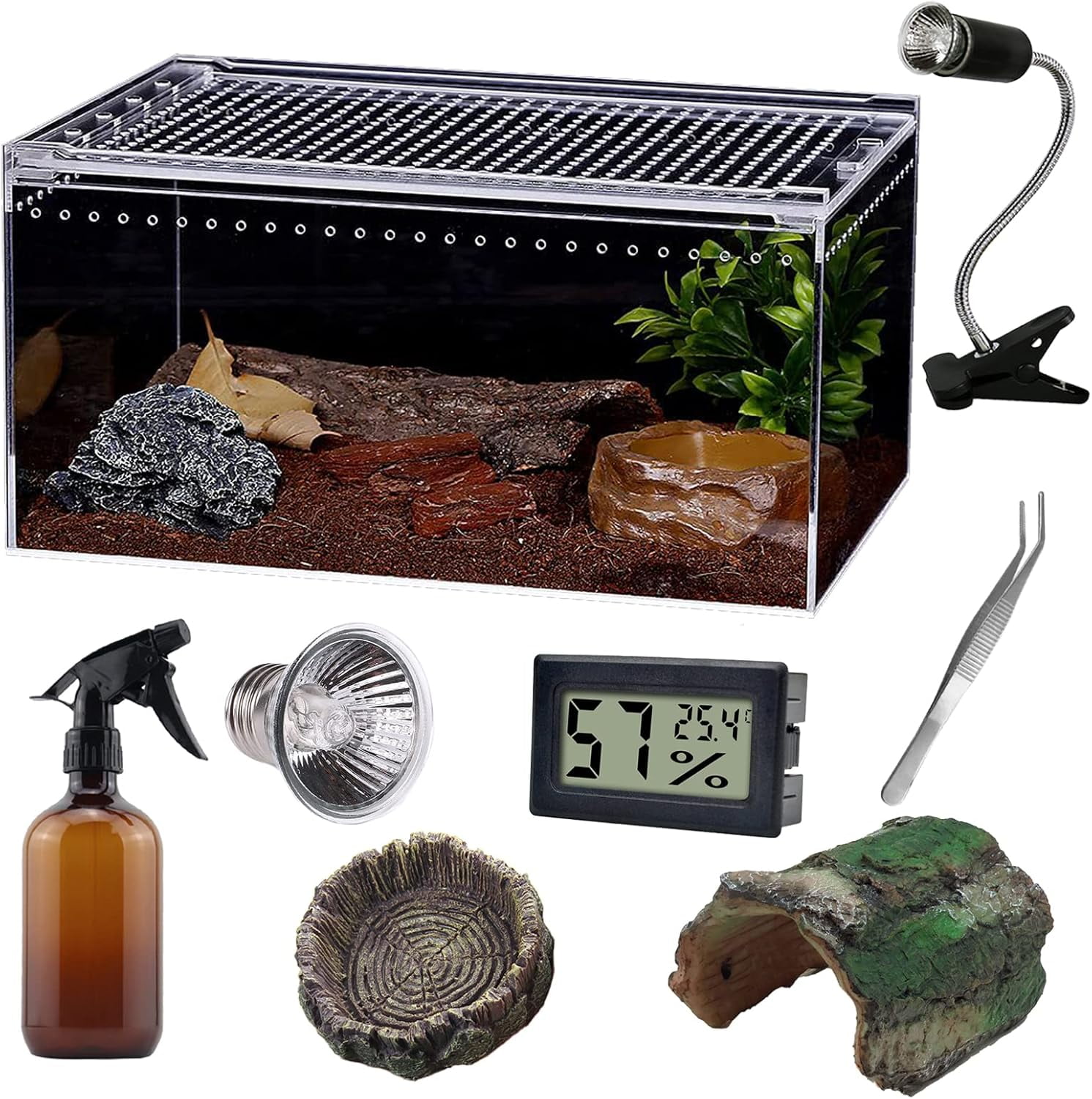 Reptile Terrarium - Amphibian Tank Starter Kit, Eco Rainforest Feeding ...