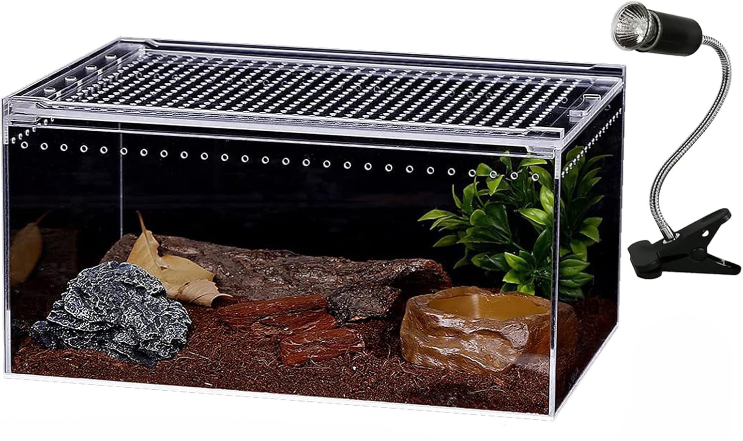 Reptile Terrarium - Amphibian Tank Starter Kit, Eco Rainforest Feeding ...