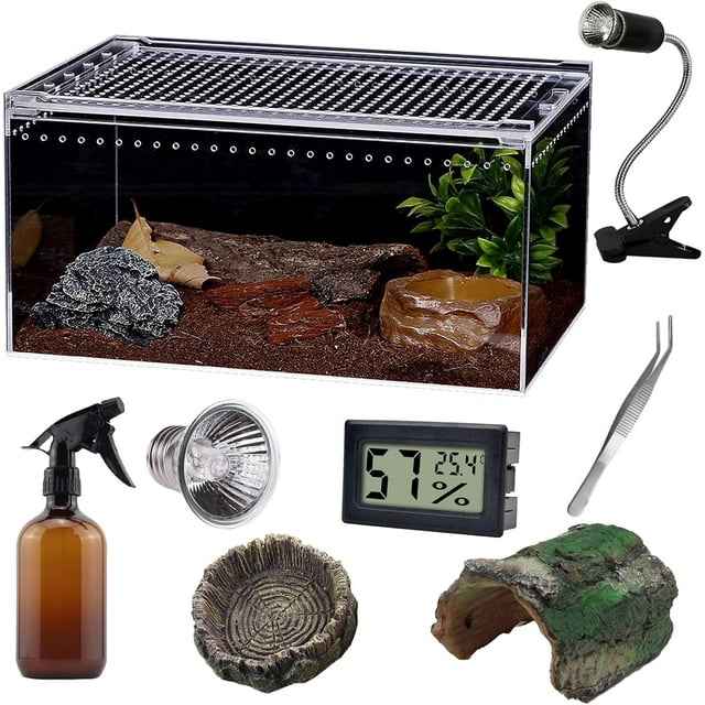 Reptile Terrarium - Amphibian Tank Starter Kit, Eco Rainforest Feeding ...