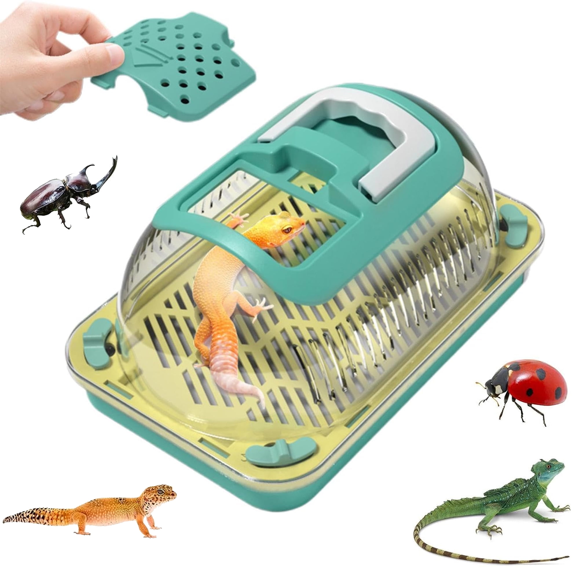 Reptile Terrarium Box,Lizard Terrarium,Reptile Cage,Portable Reptile ...