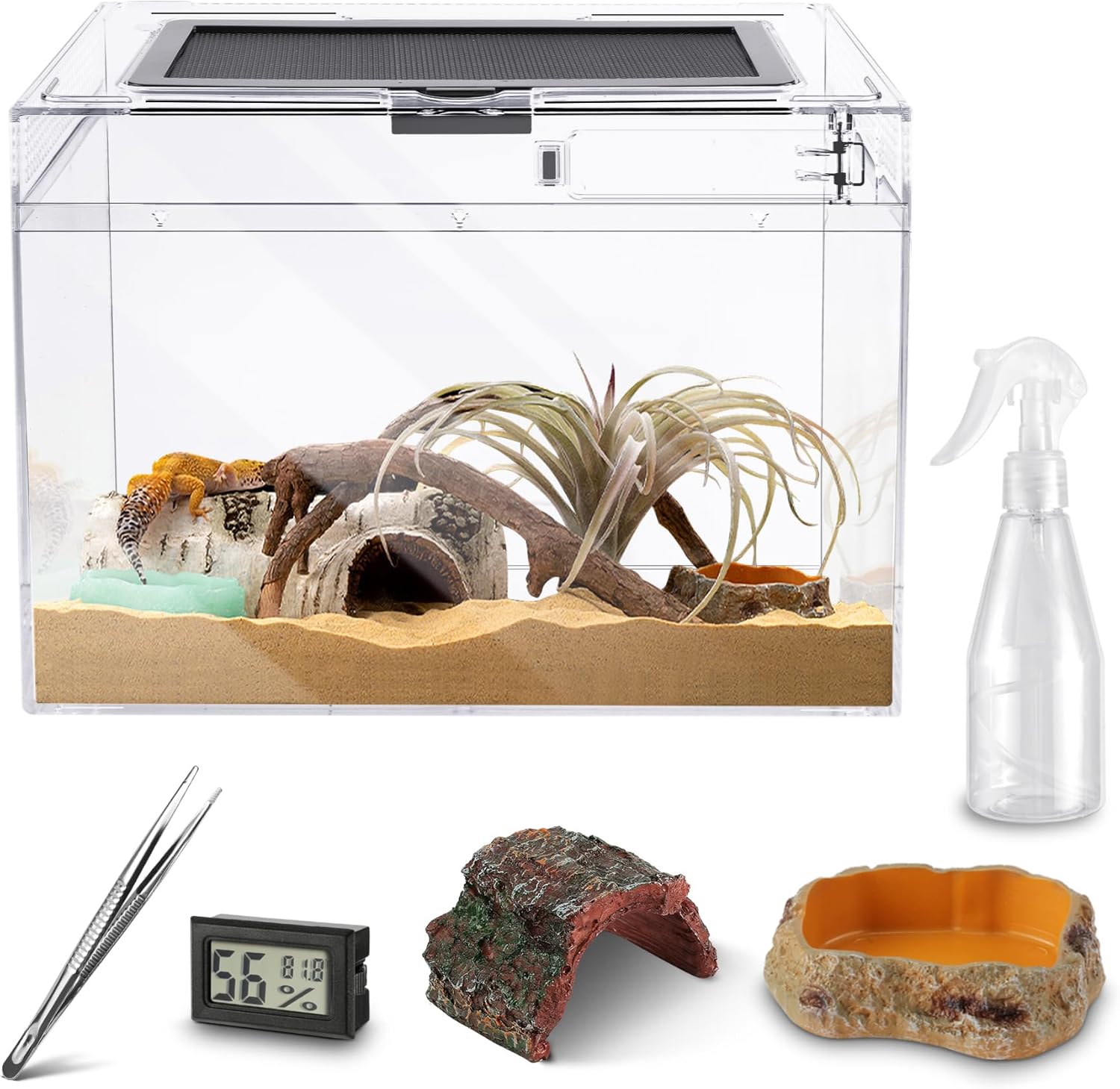 Reptile Terrarium Kit 12" x 7"x 9" Spider Tank Starter Tank, Leopard ...