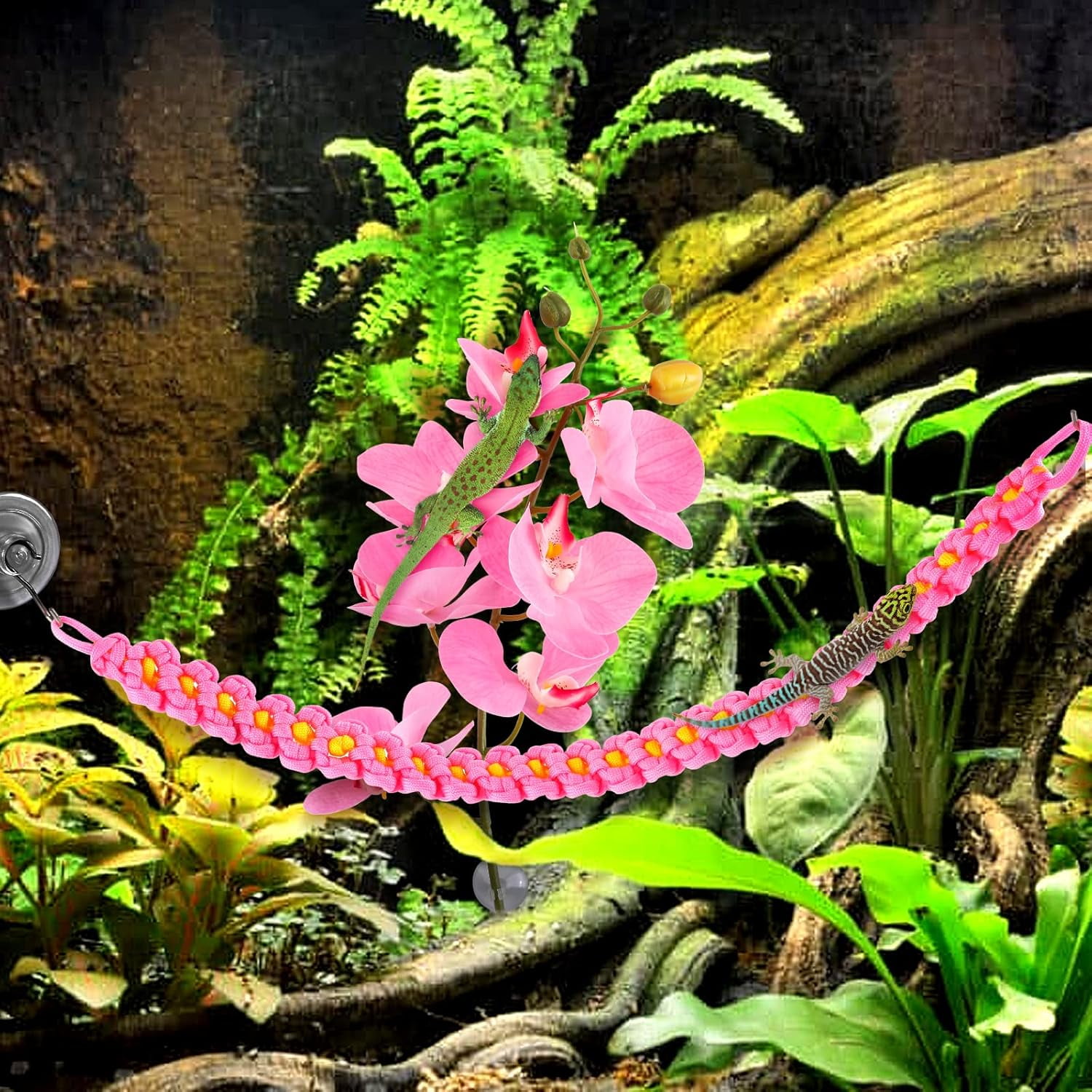 Reptile Terrarium Plants and Amphibian Hanging Plants With Suction Cups ...