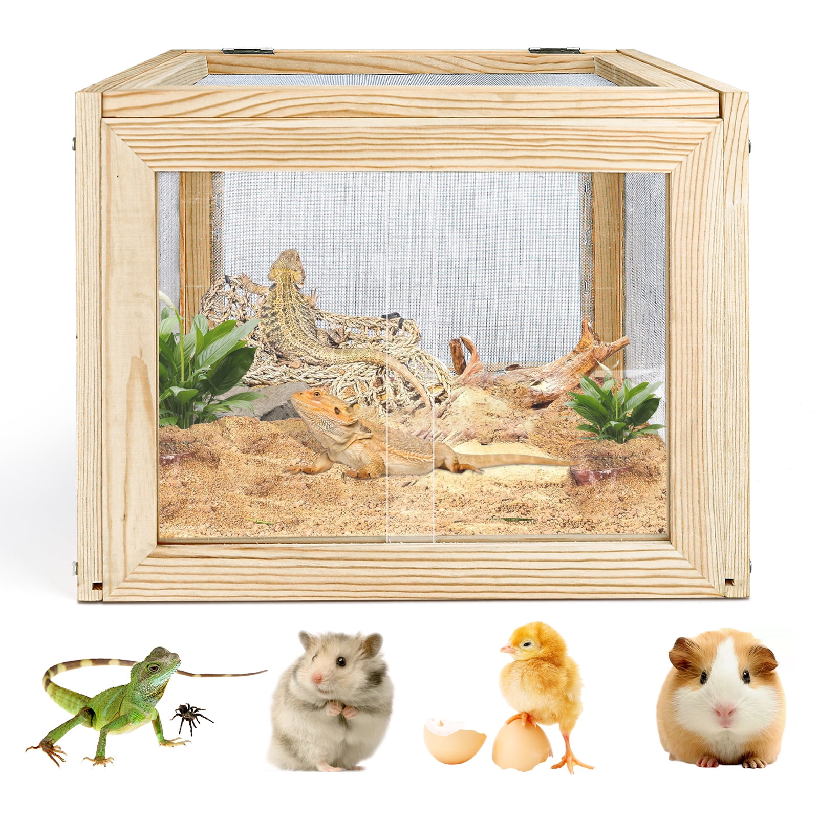 Reptile Terrarium, Reptile Habitat, Lizard Tank with Metal Mesh Roof ...