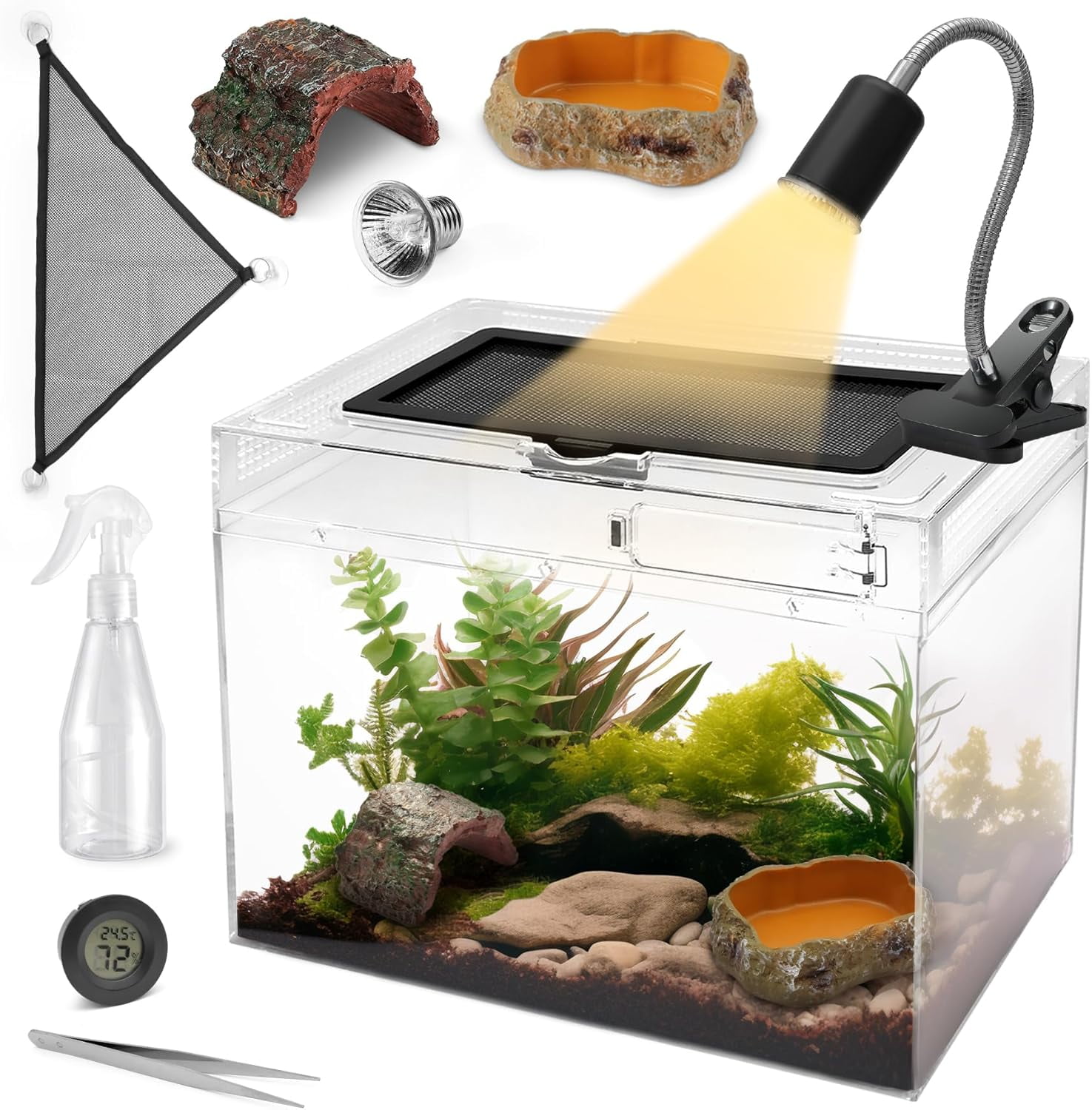 Reptile Terrarium, Reptile Tank 15.6" x 8"x 10" Amphibian Tank Starter ...