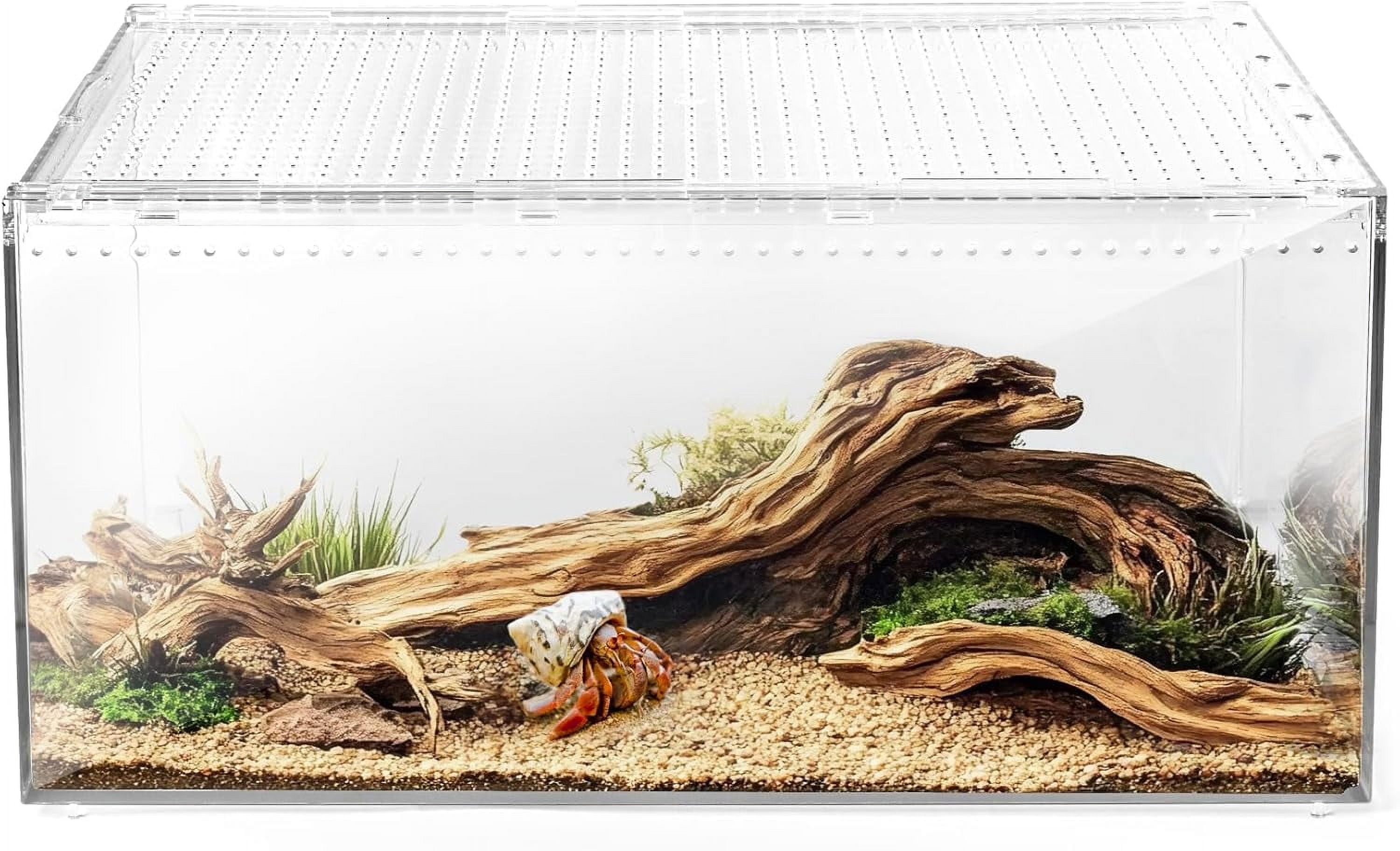 Reptile Terrarium Tank,Versatile Enclosure for Leopard Crested Gecko ...