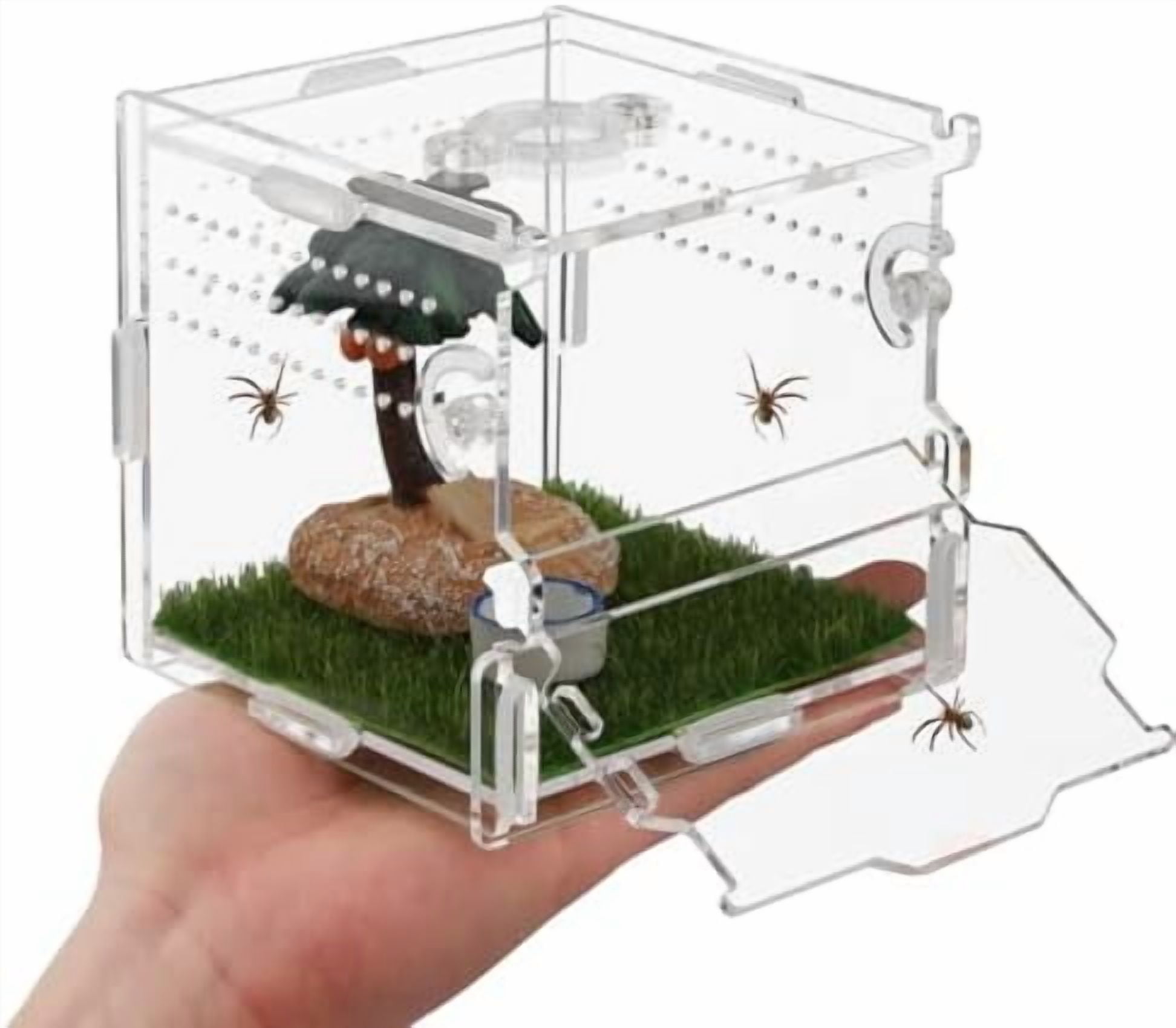 Reptile Terrarium,Tarantula Enclosure,Jumping Spider Enclosure for ...